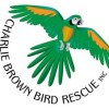 Contact Us – The Charlie Brown Bird Rescue, Inc