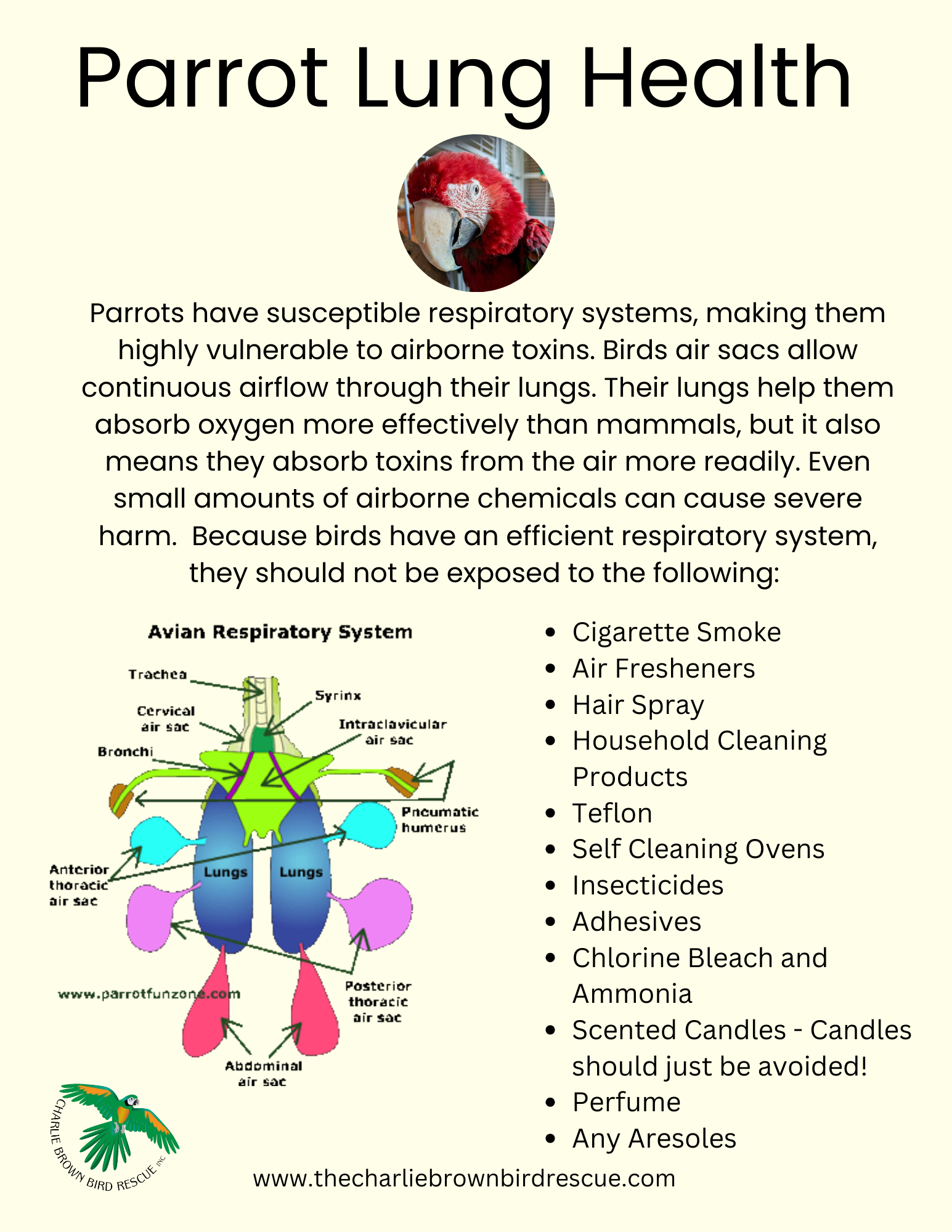 Parrot Lung Health – The Charlie Brown Bird Rescue, Inc